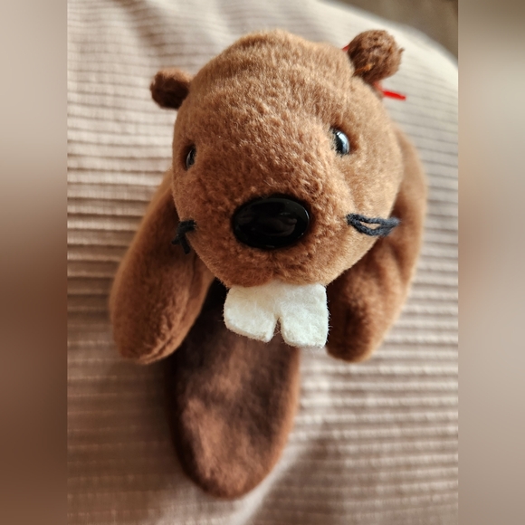 Ty | Toys | Ty Beanie Baby Bucky The Beaver Dob 6895 | Poshmark